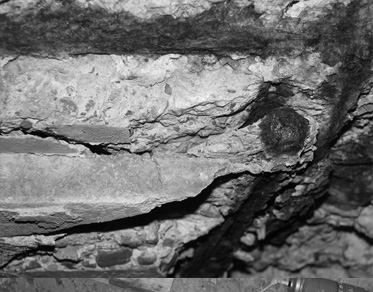 Corrosion | Delta Structural Technology